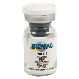 Vir-119 REO Viral Arthritis/Tenosynovitis+ Diluent 200ml
